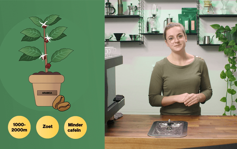 Instructievideo Giraffe Coffee - Mamascreen